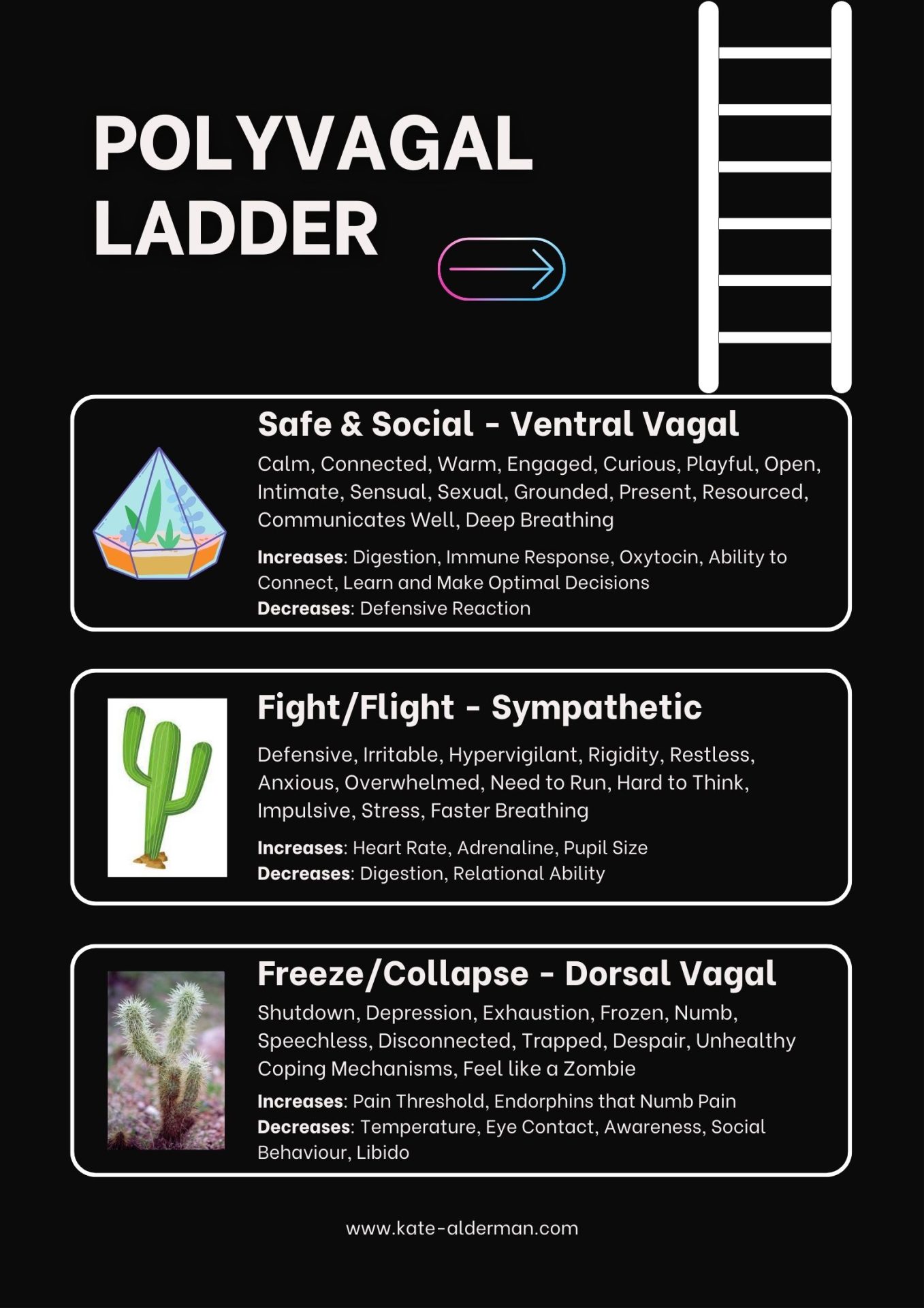The Polyvagal Ladder: The Crucial Link Between Safety and Pleasure ...